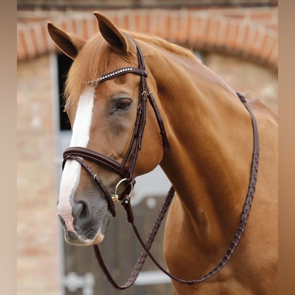 Other | Dark Brown Braided Leather Reins Full Size Hunter Jumper ...